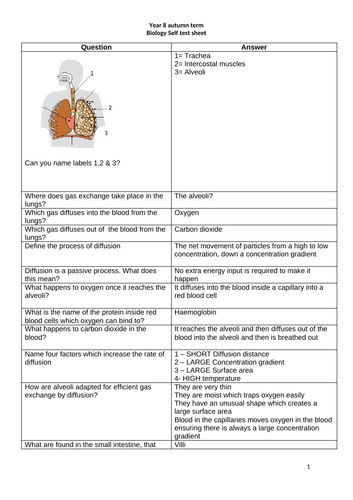 KS3 Science revision flash cards/knowledge organisers | Teaching Resources