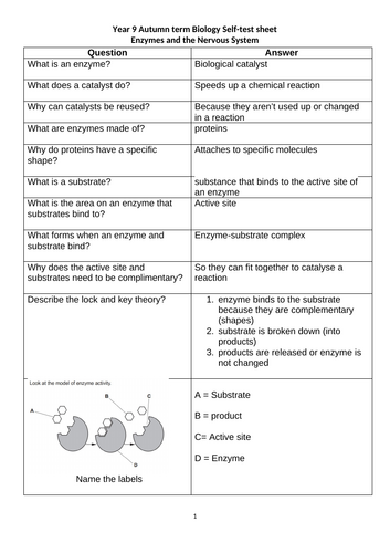 KS3 Science revision flash cards/knowledge organisers | Teaching Resources