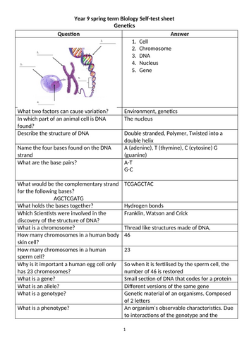 KS3 Science revision flash cards/knowledge organisers | Teaching Resources