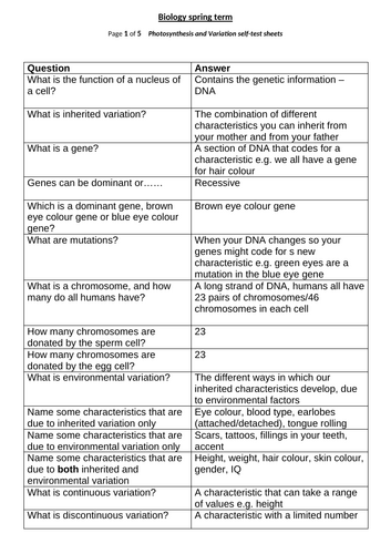 Ks3 Science Revision Flash Cards Knowledge Organisers Teaching Resources