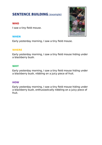 Sentence Building Activity | Teaching Resources