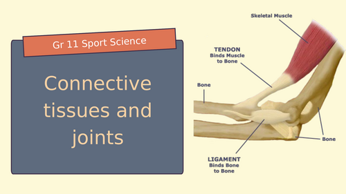 IBDP SEHS B1 - Generating Movement in the Body COMPLETE PPTs | Teaching ...