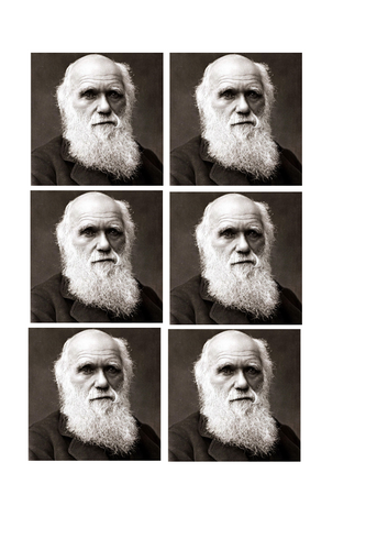Who was Charles Darwin (research lesson) KS2 Year 5 history | Teaching ...