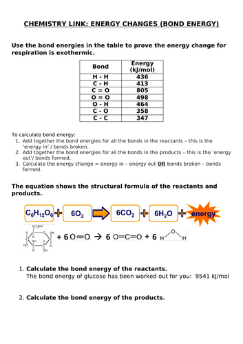 Respiration and Photosynthesis (Year 8) Activate KS3 | Teaching Resources