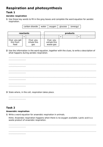 Respiration and Photosynthesis (Year 8) Activate KS3 | Teaching Resources