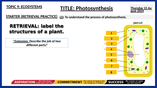 Respiration and Photosynthesis (Year 8) Activate KS3 | Teaching Resources
