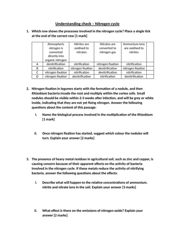 Nitrogen cycle (AQA A-level biology) | Teaching Resources