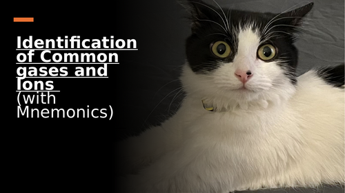 Identification of common gases and ions (with mnemonics) | Teaching ...