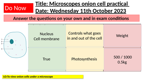 Microscopes Onion Cell Practical KS3 Science | Teaching Resources