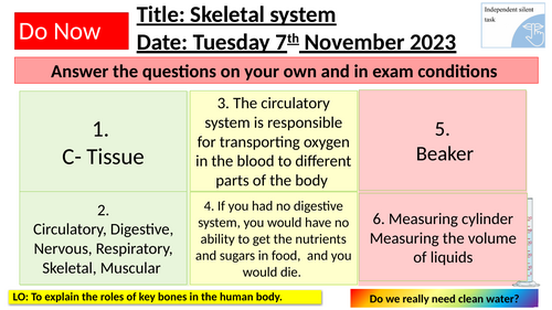 Skeletal system KS3 Science | Teaching Resources