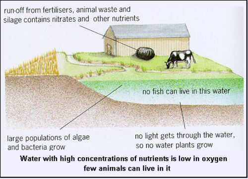 IB ESS Topic 5 Pollution - full unit | Teaching Resources