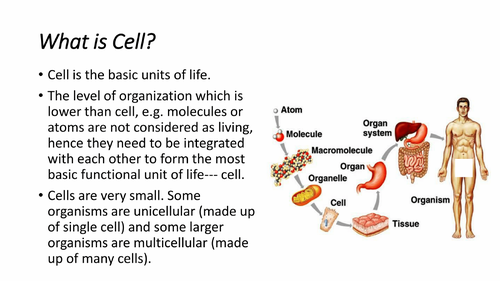Unit 2 : Cells (IGCSE Biology) | Teaching Resources