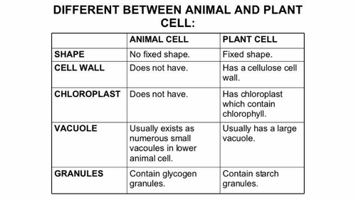 Unit 2 : Cells (IGCSE Biology) | Teaching Resources