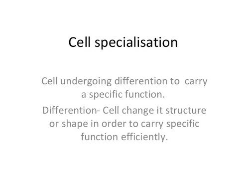 Unit 2 : Cells (IGCSE Biology) | Teaching Resources