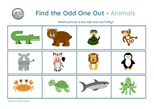 ESL Odd One Out Challenges 1 | Teaching Resources