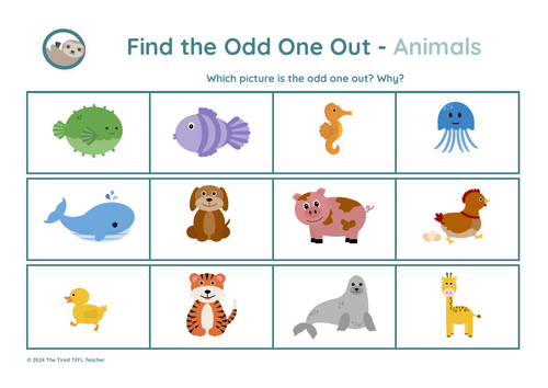 ESL Odd One Out Challenges 2 | Teaching Resources