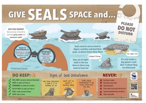 Non-fiction texts guided reading lessons | Teaching Resources