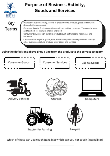 Goods and Services - Business Activity | Teaching Resources