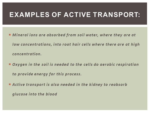 Unit 3 : Movement in and out of cells (IGCSE Biology) | Teaching Resources