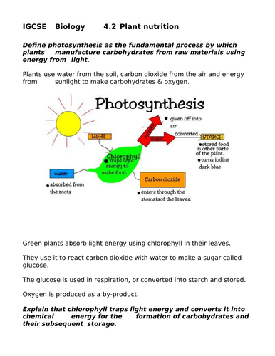 Unit 6 : Plant nutrition (IGCSE Biology) | Teaching Resources