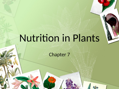 Unit 6 : Plant nutrition (IGCSE Biology) | Teaching Resources