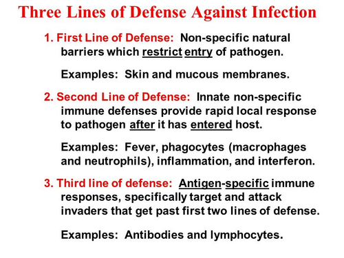 Unit 10 : Diseases and immunity (IGCSE Biology) | Teaching Resources