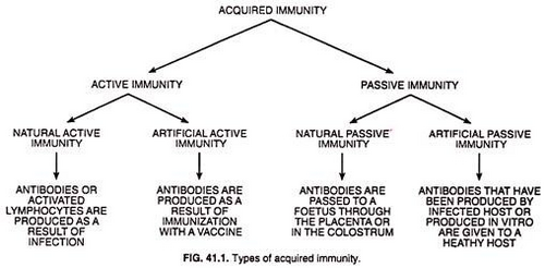 Unit 10 : Diseases and immunity (IGCSE Biology) | Teaching Resources
