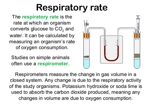 Unit 12 : Respiration (IGCSE Biology) | Teaching Resources