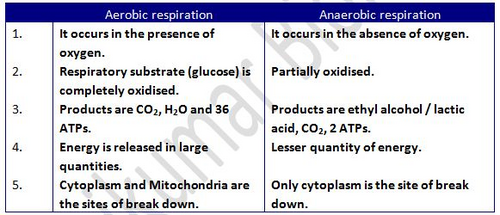 Unit 12 : Respiration (IGCSE Biology) | Teaching Resources