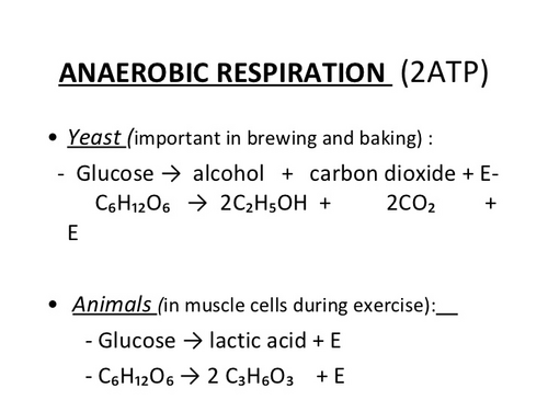 Unit 12 : Respiration (IGCSE Biology) | Teaching Resources