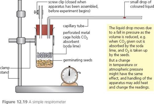 Unit 12 : Respiration (IGCSE Biology) | Teaching Resources