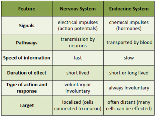 Unit 14 : Coordination and response (IGCSE Biology) | Teaching Resources