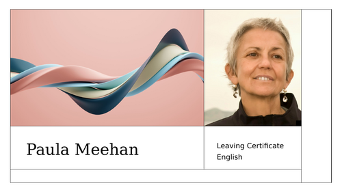 Paula Meehan Bundle | Teaching Resources