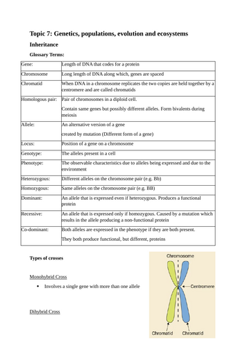 A-Level Biology Revision Guide Topic 7 Genetics, Populations, Evolution ...