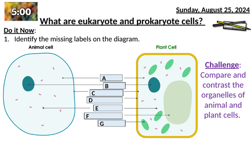 Eukaryotic and Prokaryotic Cells Lesson (AQA GCSE Biology) | Teaching ...