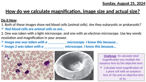 Magnification Calculations (AQA GCSE Biology) | Teaching Resources Magnification Calculations (AQA GCSE Biology) | Teaching Resources