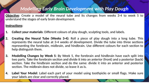 Edexcel GCSE Psychology: EARLY BRAIN DEVELOPMENT [Development Topic ...