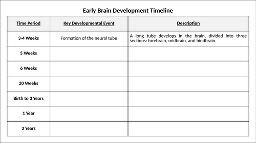 Edexcel GCSE Psychology: EARLY BRAIN DEVELOPMENT [Development Topic ...