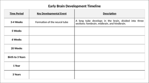 Edexcel GCSE Psychology: EARLY BRAIN DEVELOPMENT [Development Topic ...