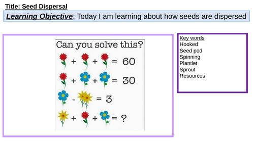 KS3 seed dispersal | Teaching Resources