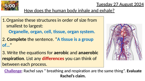 The Respiratory System - Inhalation and Exhalation Visual Lesson (AQA GCSE Biology) | Teaching ...