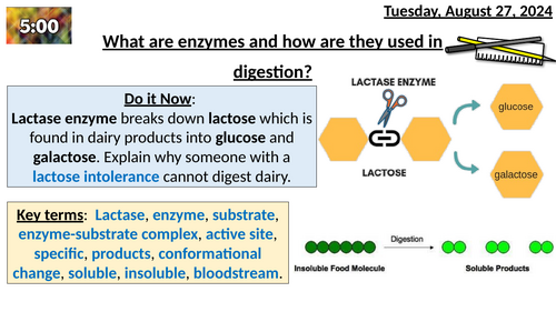 Digestive Enzymes and Optimum Conditions AQA GCSE Biology (KS3/4 ...