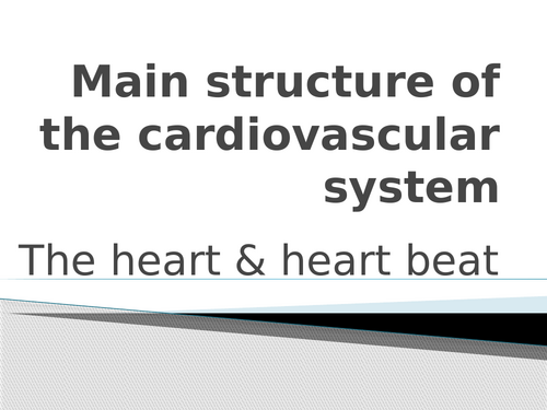 BTEC Health & Social Care Unit 3 Anatomy & Physiology B2 Cardiovascular ...