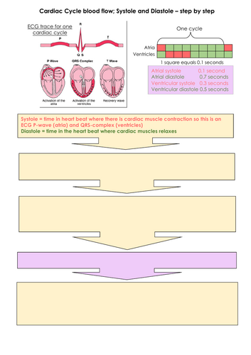BTEC Health & Social Care Unit 3 Anatomy & Physiology B2 Cardiovascular ...