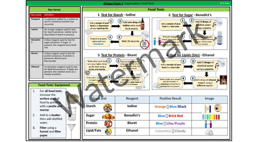 Testing for Lipids, Carbohydrates, Proteins, and Starch (AQA GCSE ...