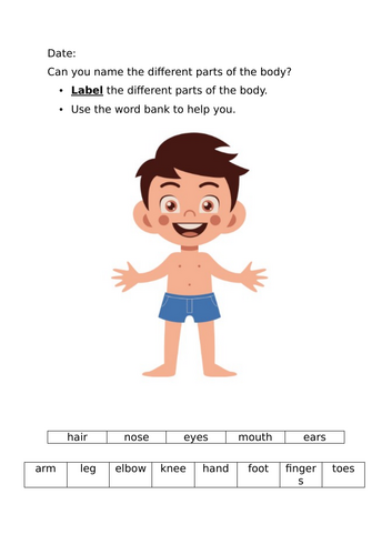 Year 1 Science Name and Label Body Parts | Teaching Resources