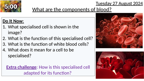 Blood Components and Blood Vessels (AQA GCSE Biology) 1-2 Lessons ...