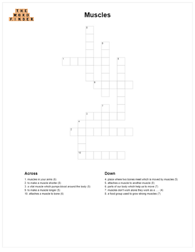 Muscles Crossword (KS2 Science) | Teaching Resources