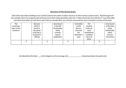 Human brain (OCR A-level Biology) | Teaching Resources