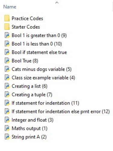 Beginners to Python Programming - Lesson 1 | Teaching Resources Beginners to Python Programming - Lesson 1 | Teaching Resources